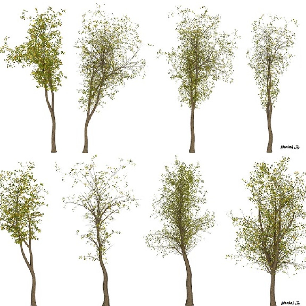 Blend Swap | Tree Texture - II